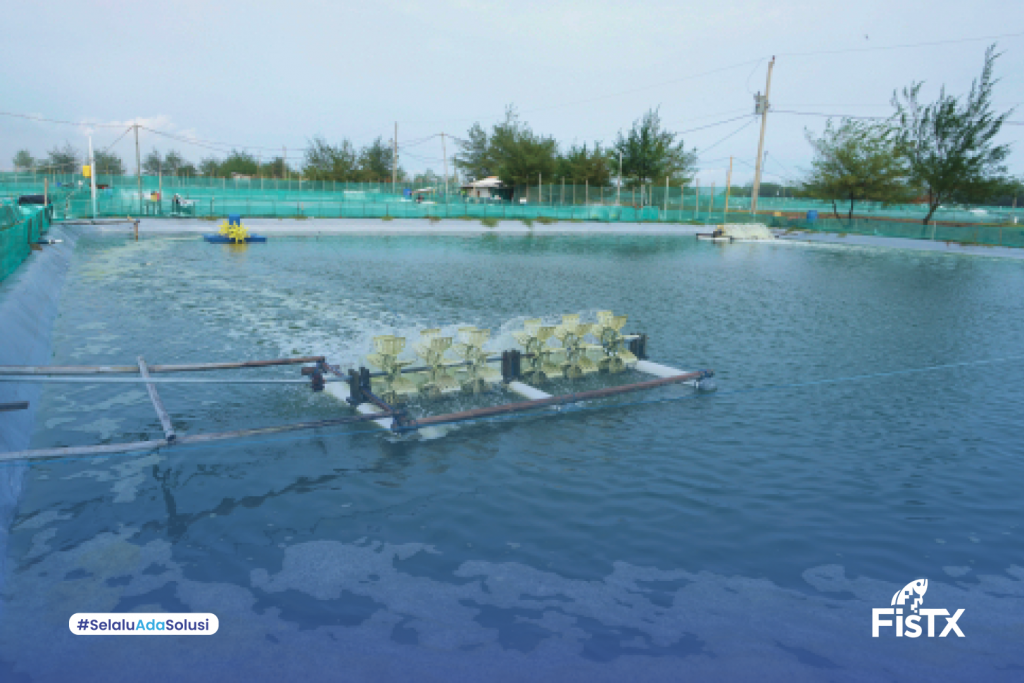 Understanding the Influence of Ammonia in Shrimp Cultivation