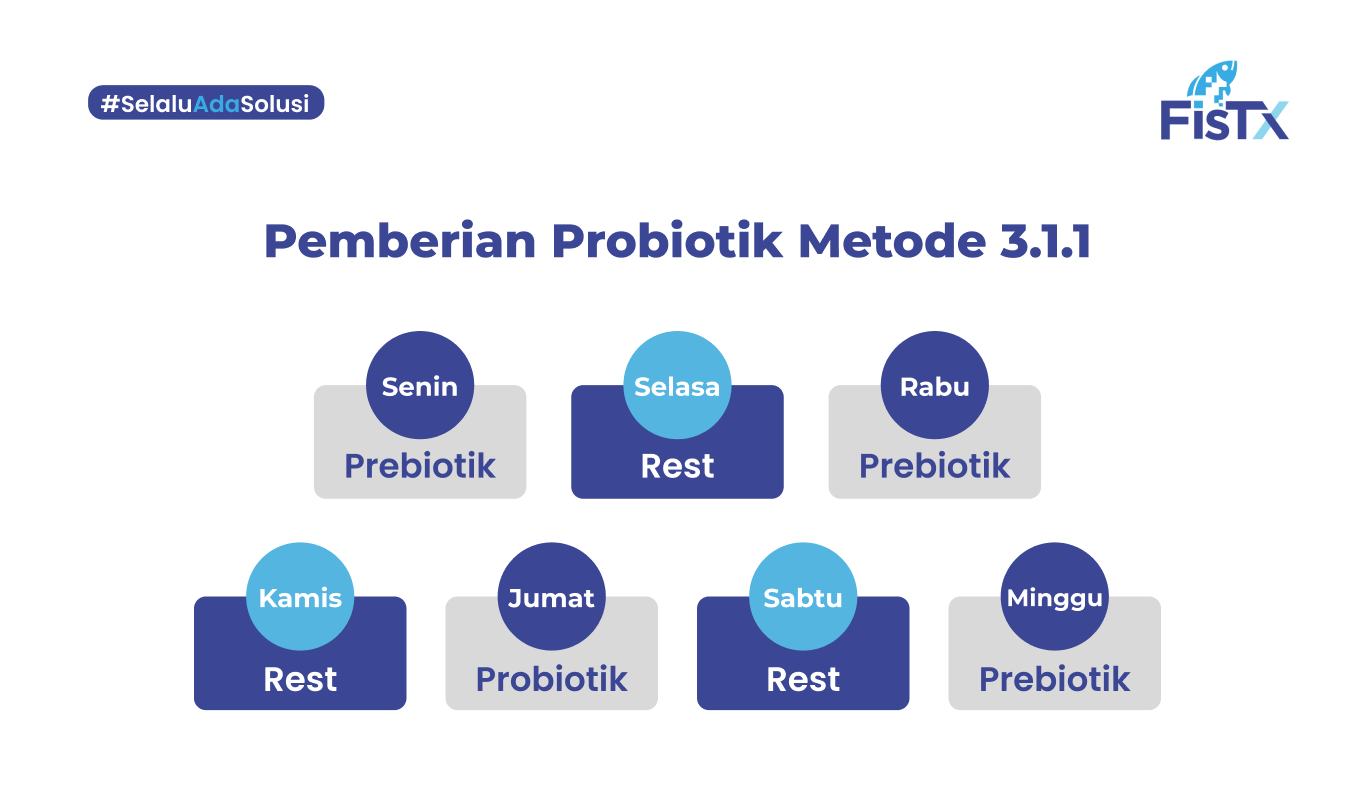 Budidaya Udang Vaname Dengan Kombinasi Probiotik, Prebiotik Dan Sinbiotik